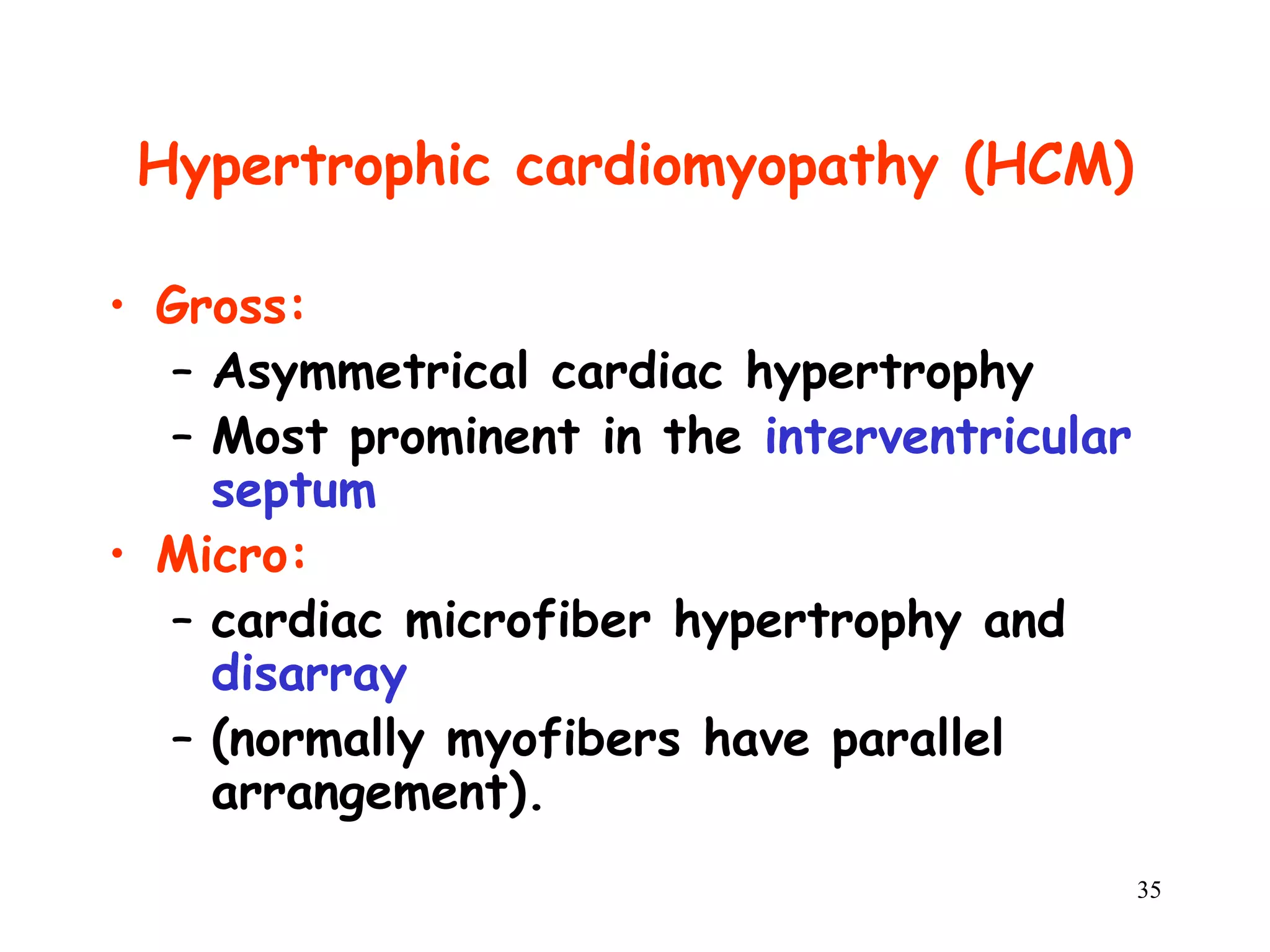 04 cardiac pathology | PPT