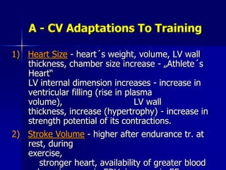 04 cardiorespiratory adaptation to training | PPT
