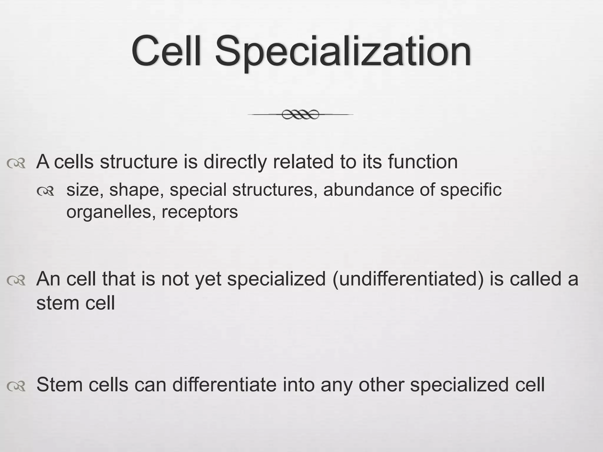 04 cell specialization | PPTX