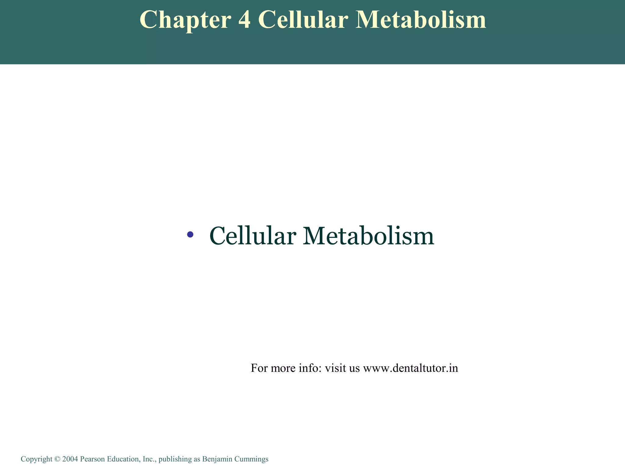 Cellular Metabolism | PPT