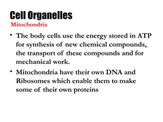 Cellular Organizations | Class 8 | Science | PPT