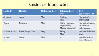 04 Cestodes of medical importance- Microbiology.pptx