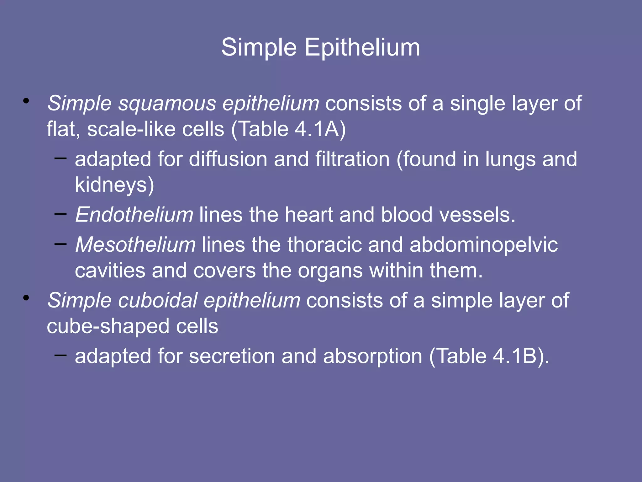 04 [chapter 4 the tissue level of organization][11e] | PPT
