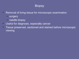 04 [chapter 4 the tissue level of organization][11e] | PPT