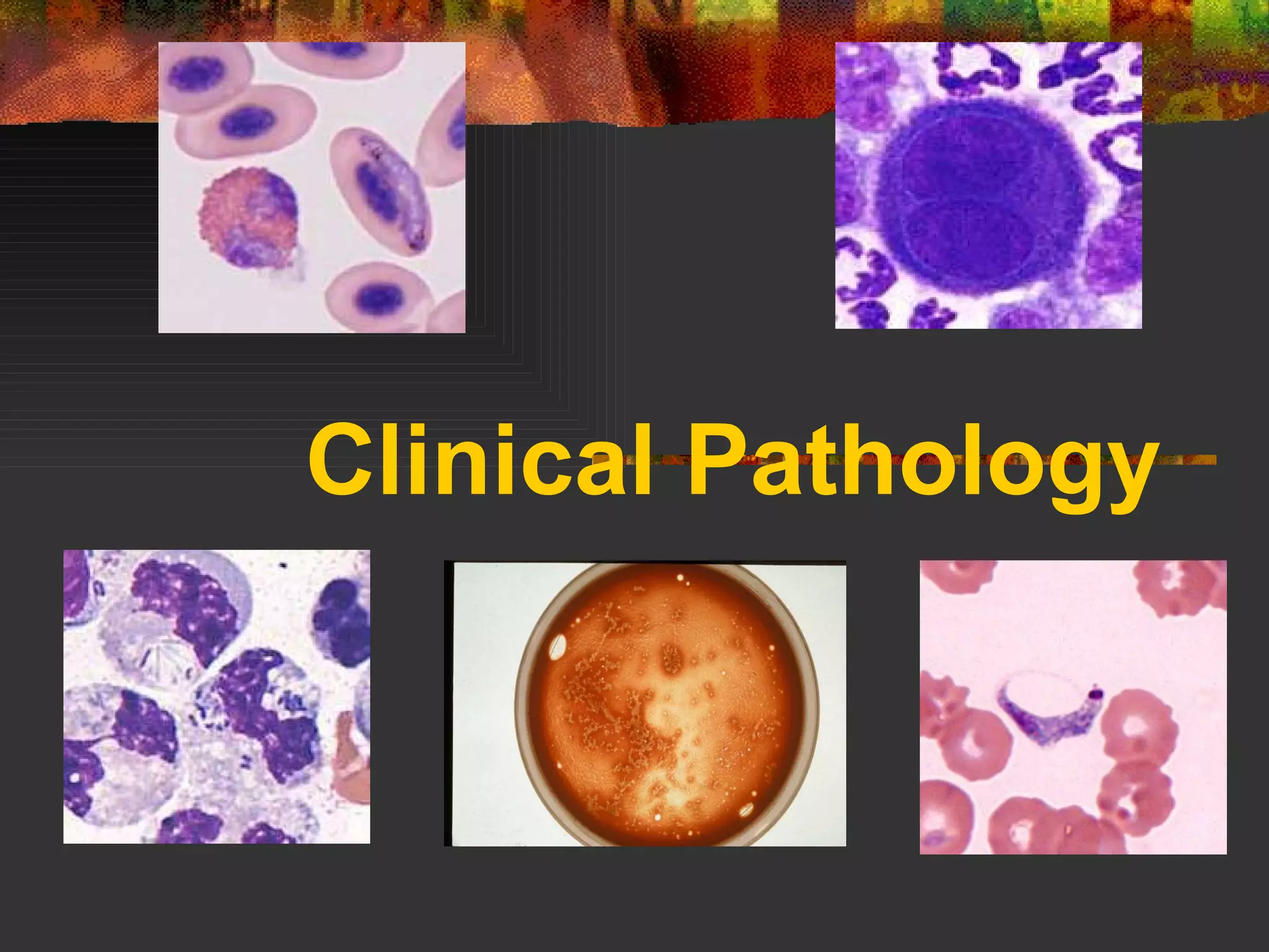 04 clinical pathology | PPT