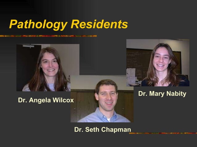 04 clinical pathology | PPT | Blood Disorders | Diseases and Conditions