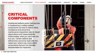 Crane Consultation Service Technology.ppt