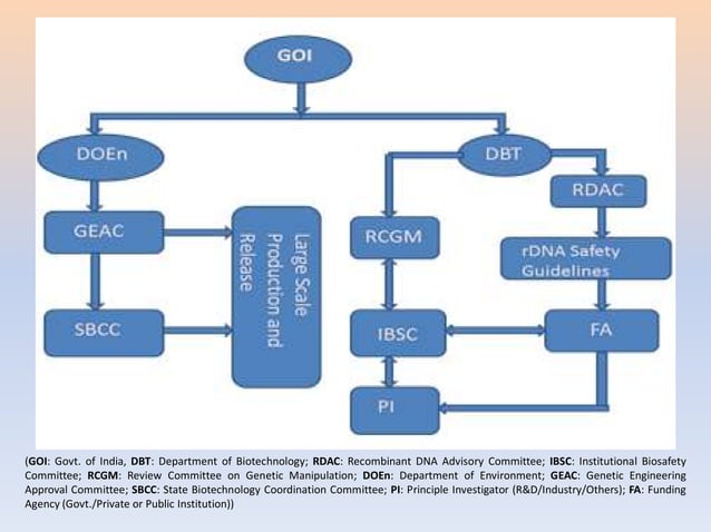 04 control of spills and mechanism of implementation of biosafety guidelines | PDF