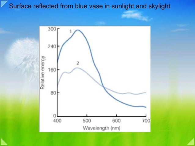 04c visual signal processing color vision | PPT | Free Download