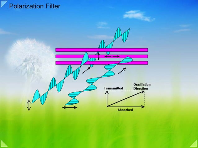 04c visual signal processing color vision | PPT | Free Download