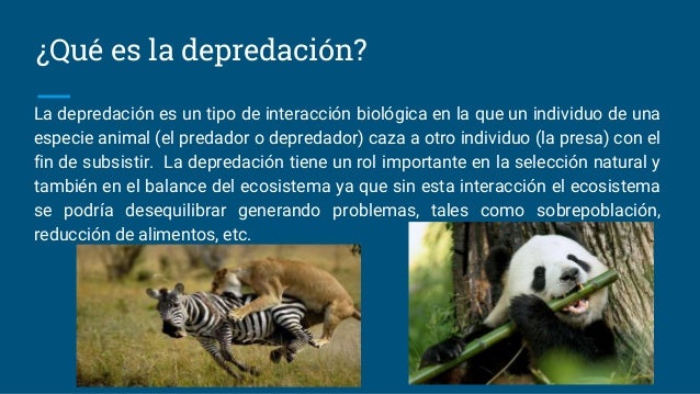 Depredación