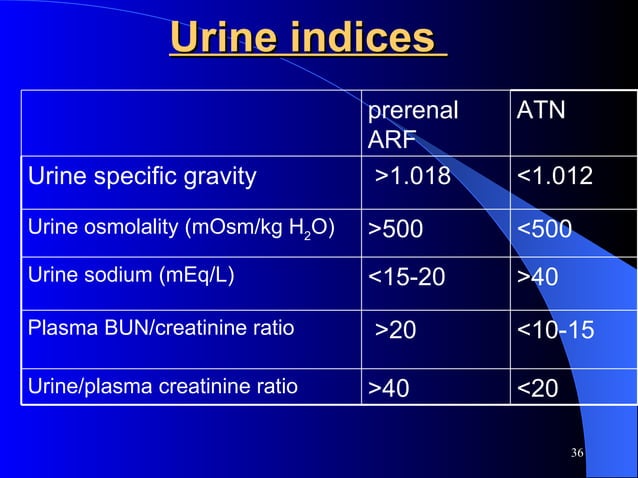 04 Differential Diagnosis Of Acute Renal Failure | PPT