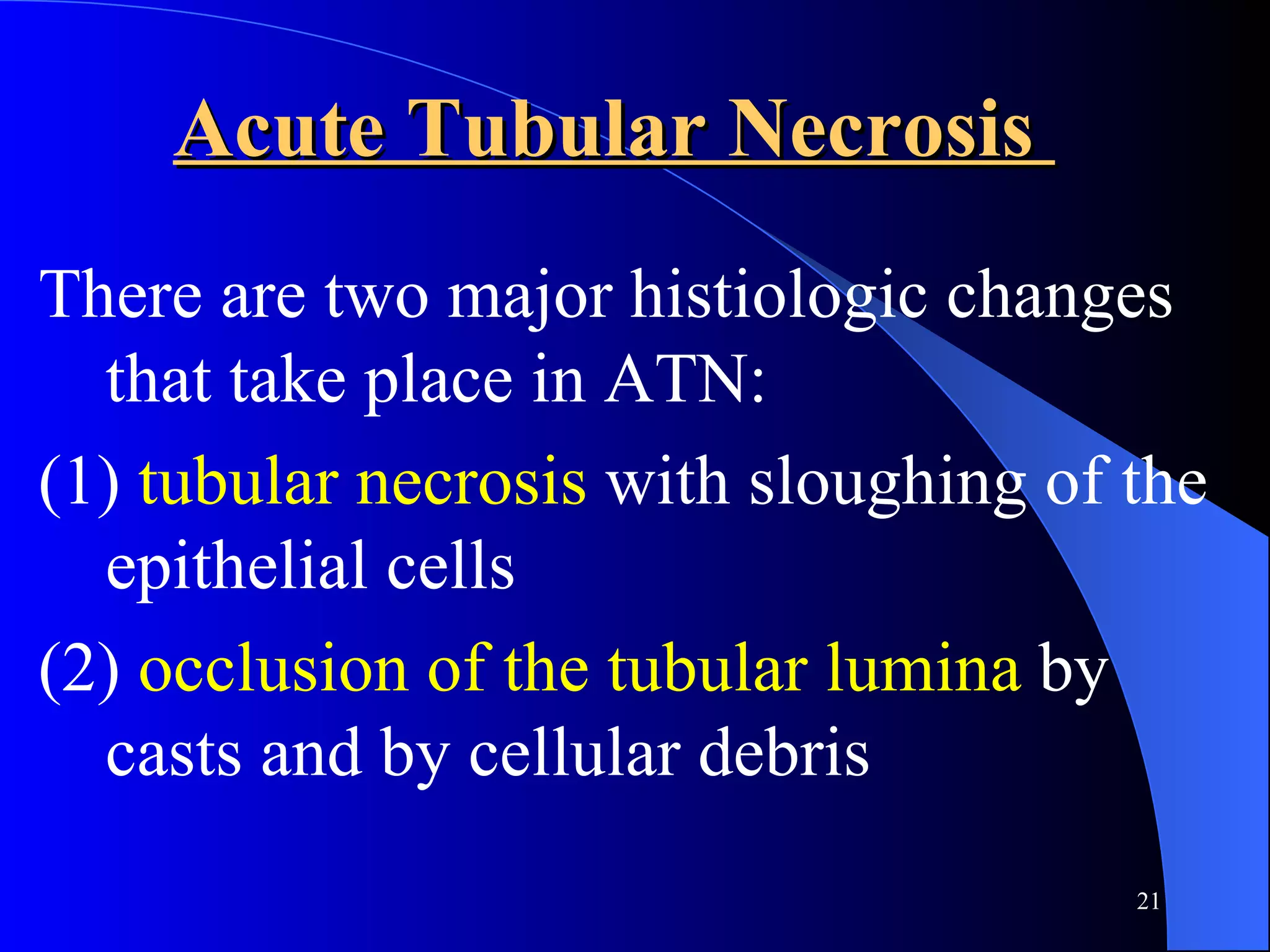 04 Differential Diagnosis Of Acute Renal Failure | PPT