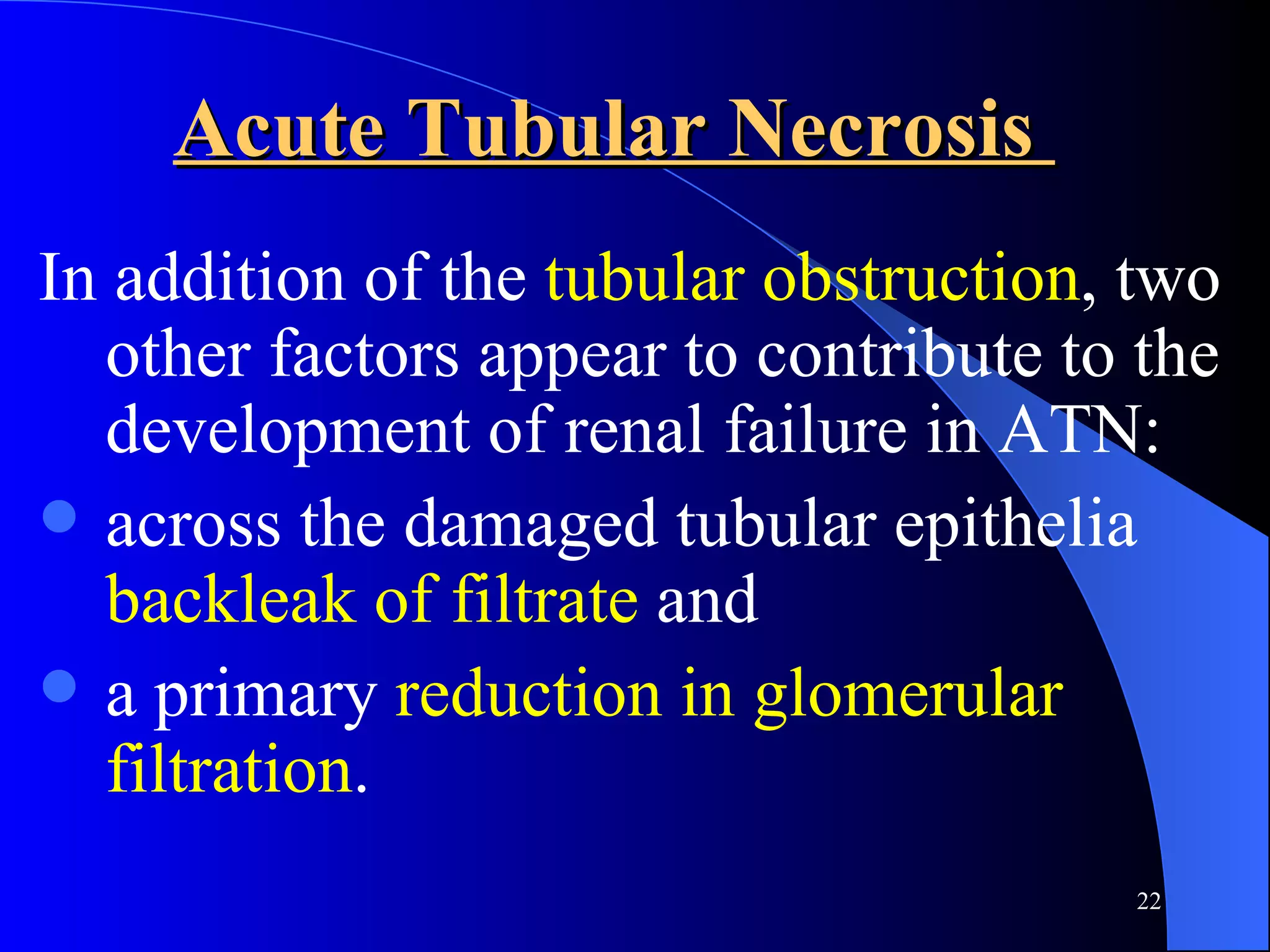 04 Differential Diagnosis Of Acute Renal Failure | PPT