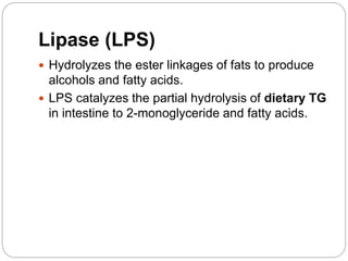 04 Digestive enzymes of pancreatic origin.pptx