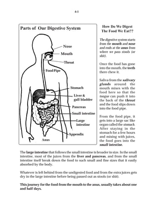04 digestive system | PDF