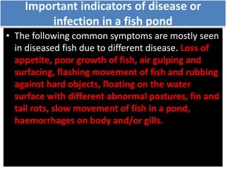 Disease management in aquaculture | PPTX
