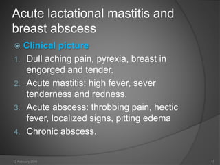 04 diseases of the breast tutorial hajhamad m | PPTX