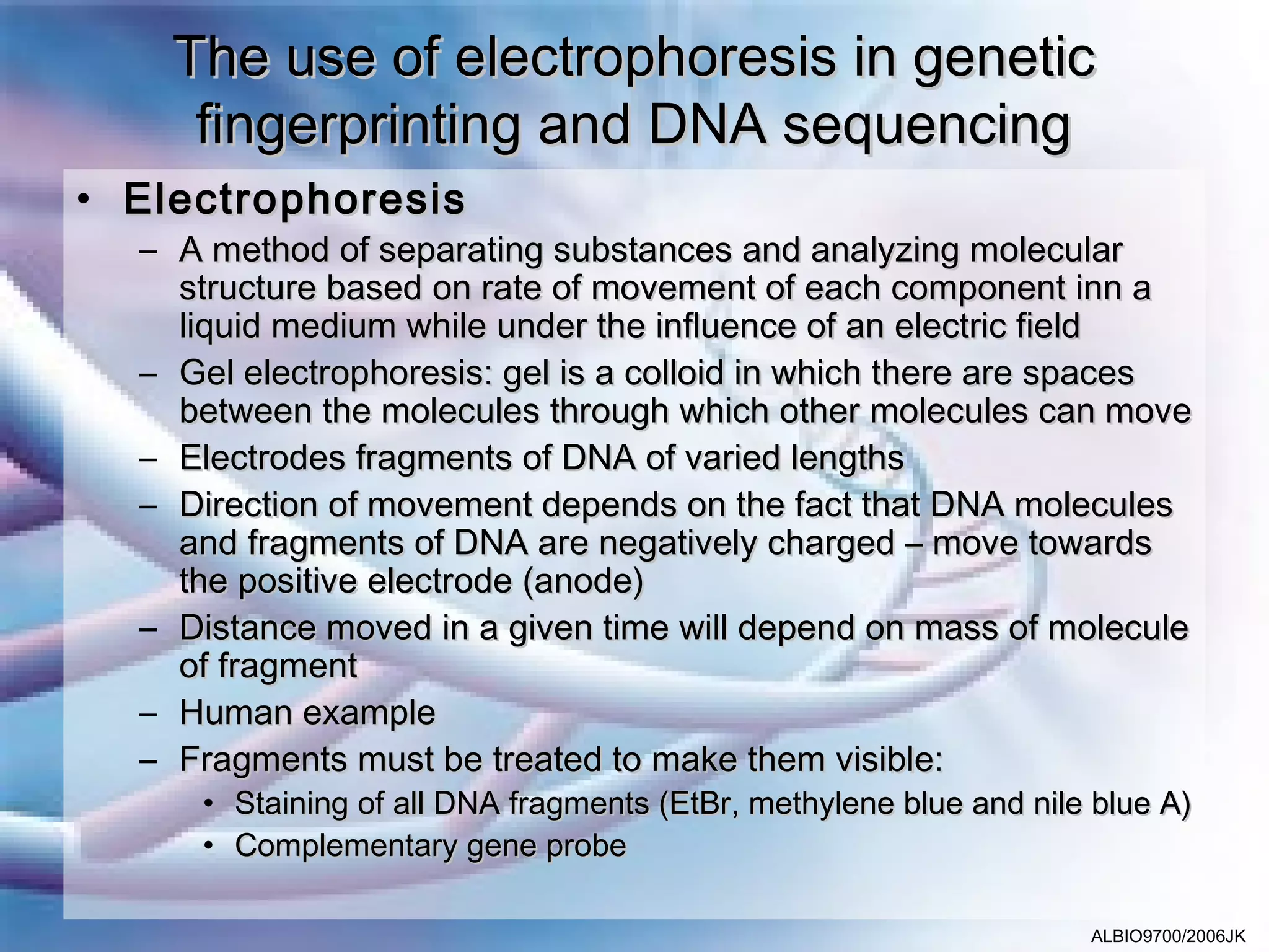 04 DNA Sequencing and Genetic Fingerprinting | PPT