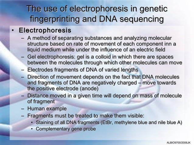 04 DNA Sequencing and Genetic Fingerprinting | PPT | Chemistry | Science