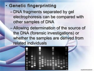 04 DNA Sequencing and Genetic Fingerprinting | PPT