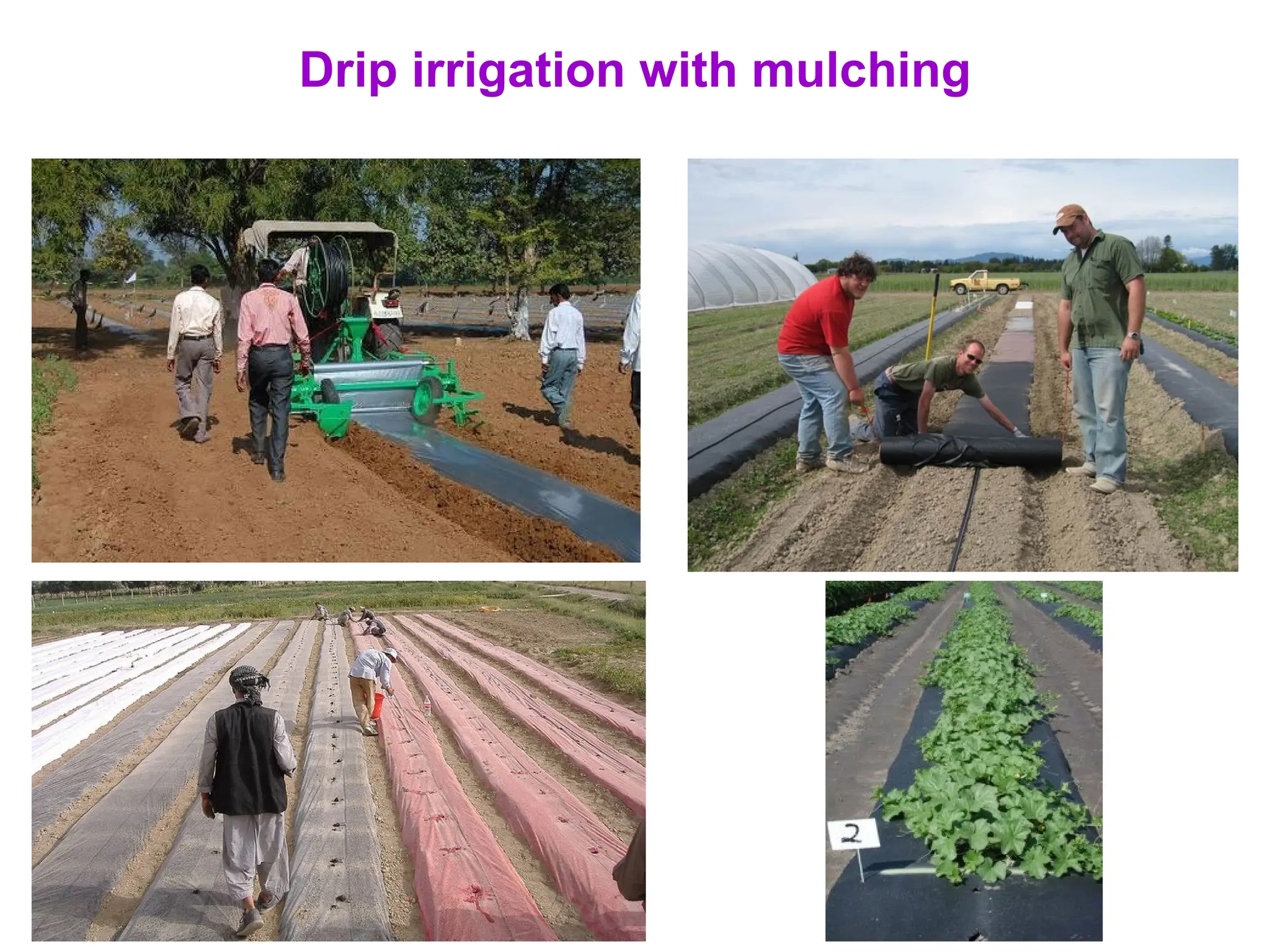 Drip Irrigation - Climate Smart Agriculture | PPT