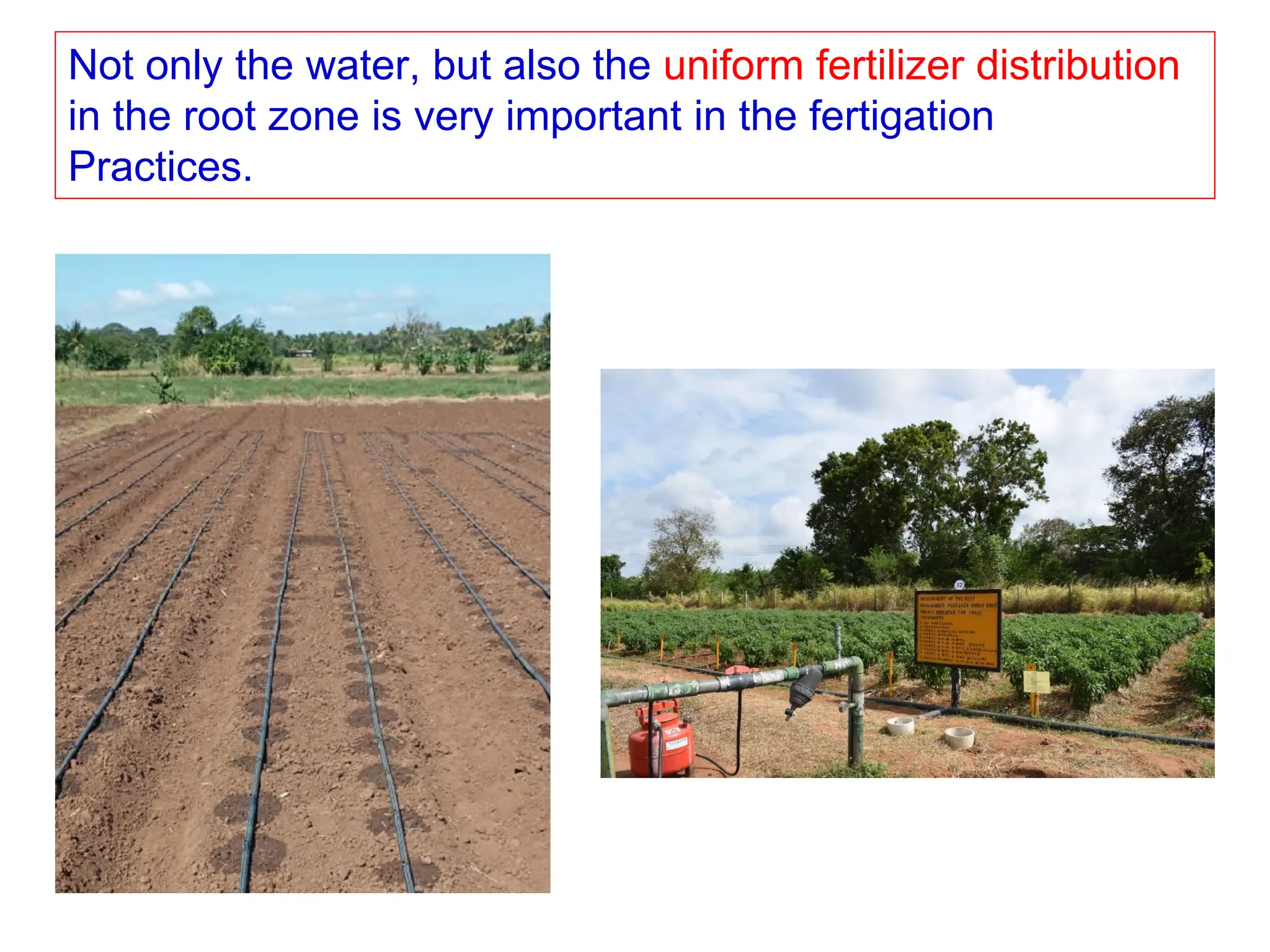 Drip Irrigation - Climate Smart Agriculture | PPT