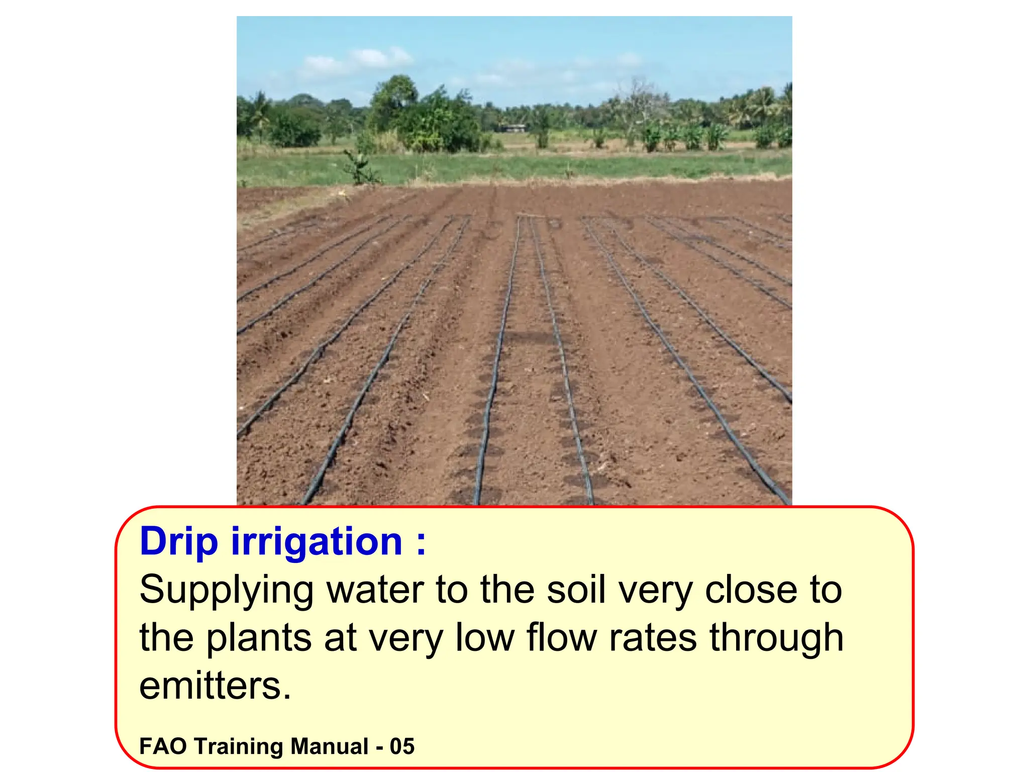 Drip Irrigation - Climate Smart Agriculture | PPT