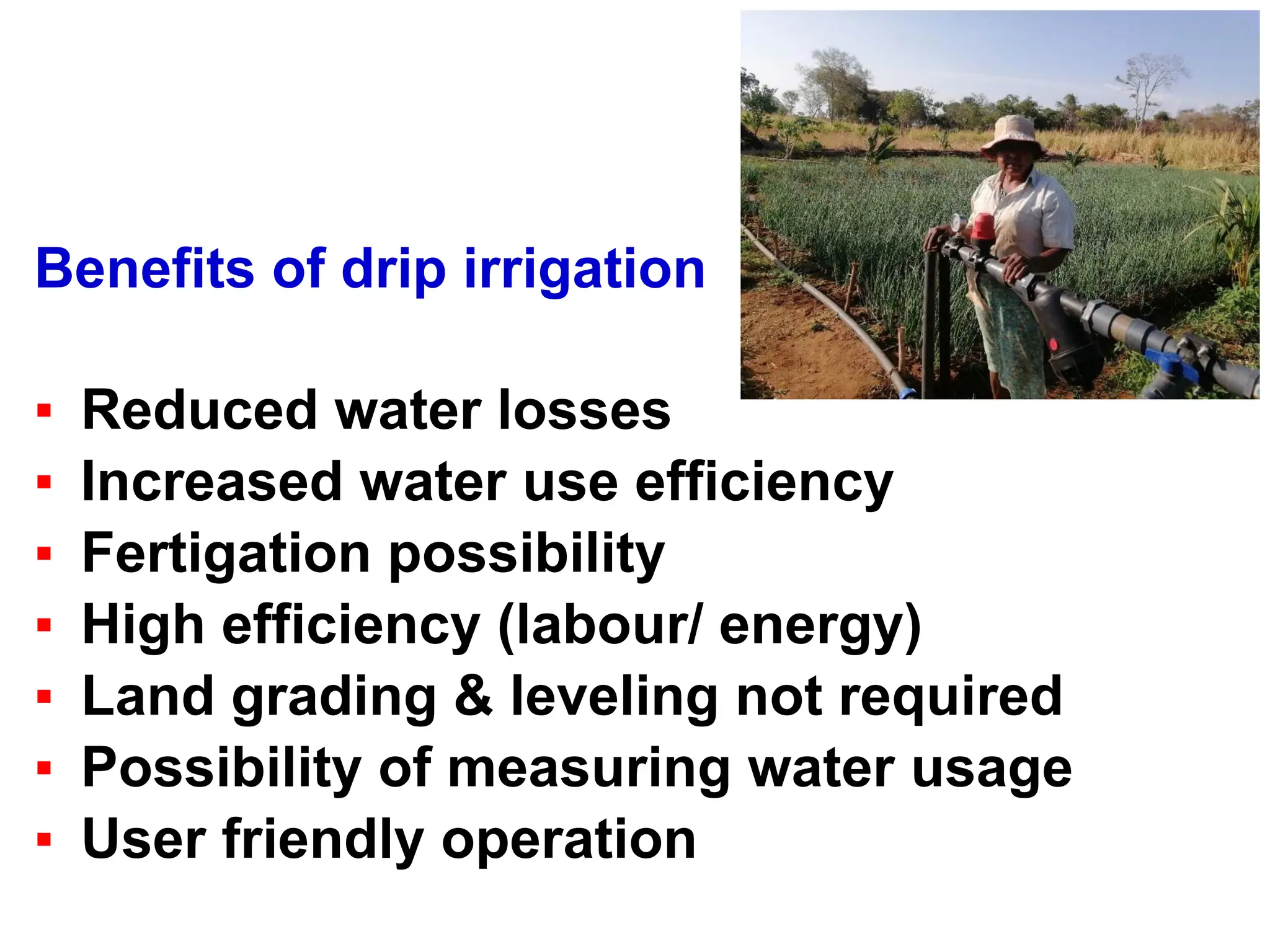 Drip Irrigation - Climate Smart Agriculture | PPT