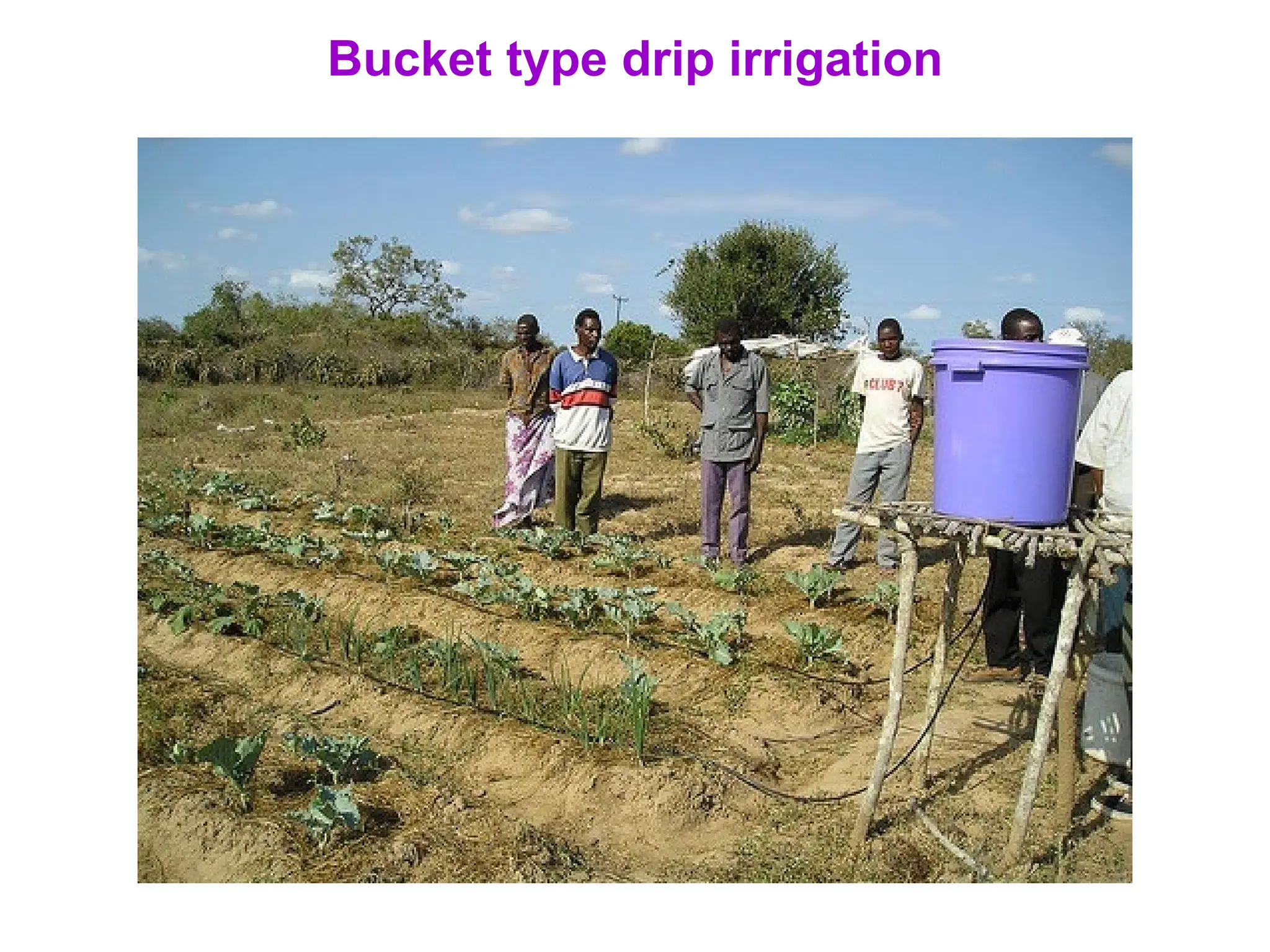 Drip Irrigation - Climate Smart Agriculture | PPT