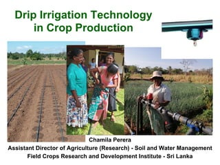 Drip Irrigation - Climate Smart Agriculture | PPT