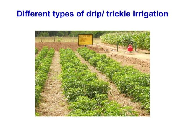 Drip Irrigation - Climate Smart Agriculture | PPT