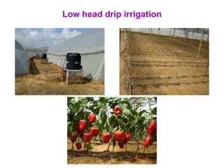 Drip Irrigation - Climate Smart Agriculture | PDF