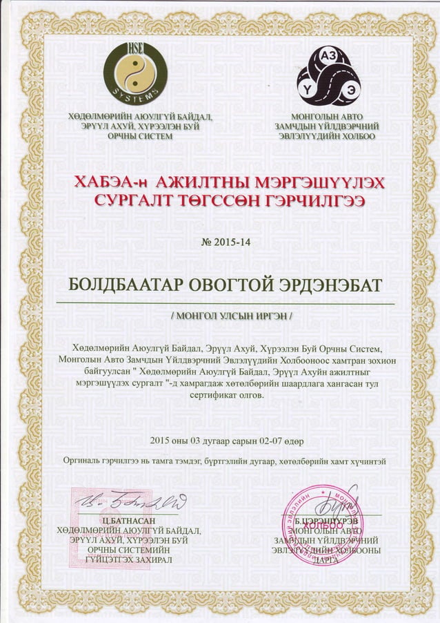 Safety officer certificate.PDF