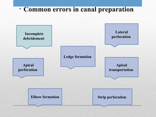 Endodontics. anatomy of root canals. instruments | PPT