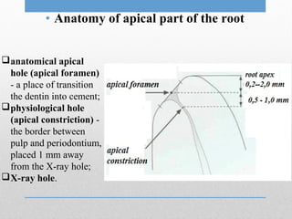 Endodontics. anatomy of root canals. instruments | PPT