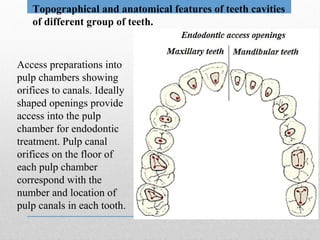 Endodontics. anatomy of root canals. instruments | PPT