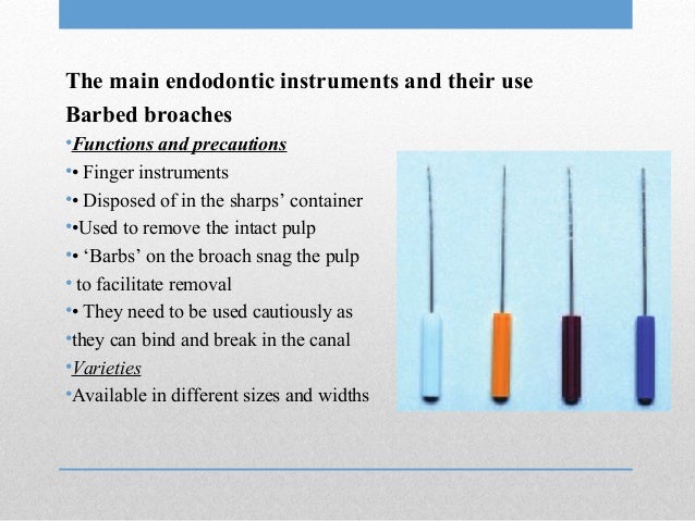 Endodontics. anatomy of root canals. instruments