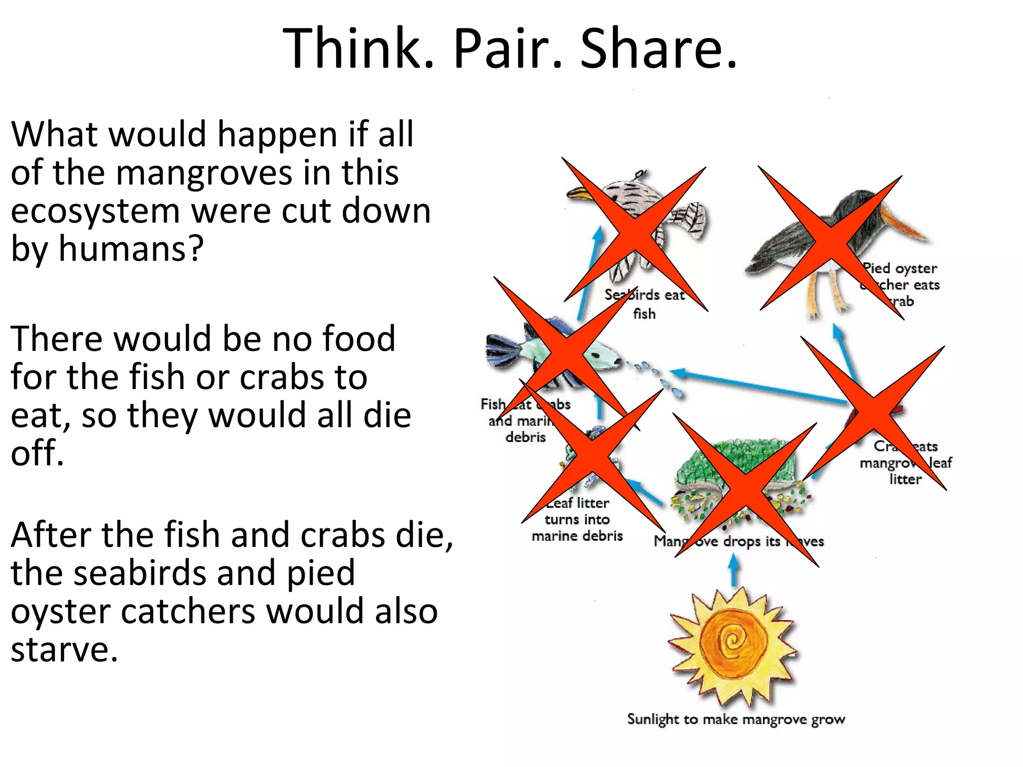 04 energy flow in ecosystems | PPT