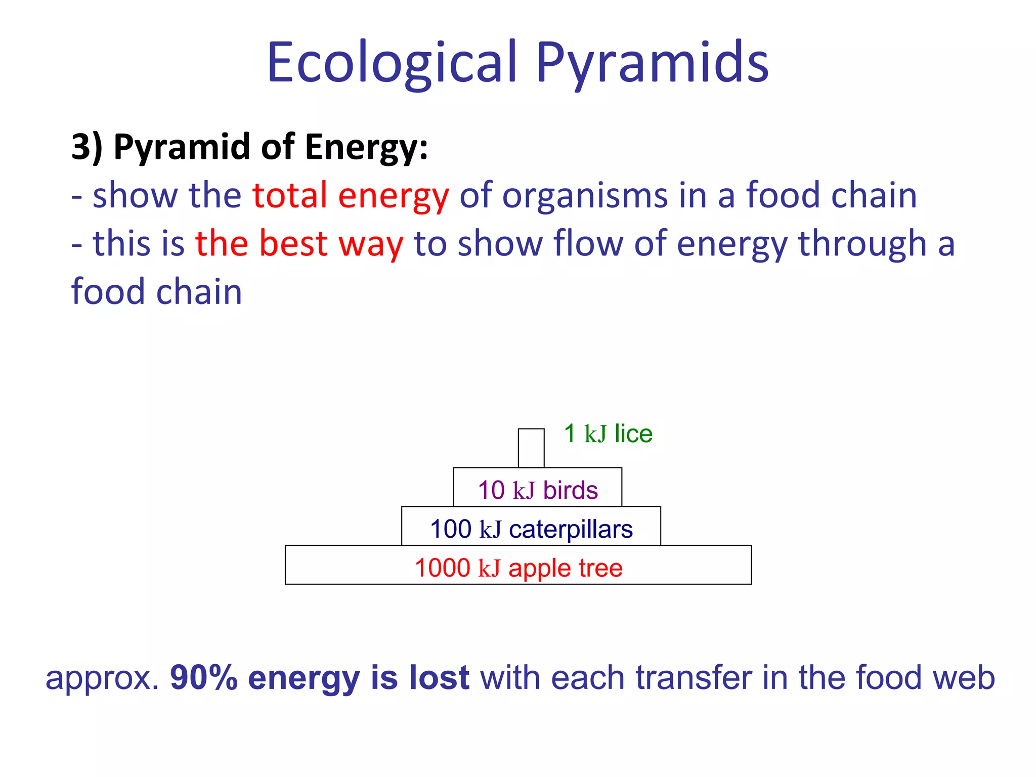 04 energy flow in ecosystems | PPT