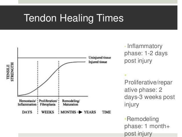 Tendinopathy - In Service