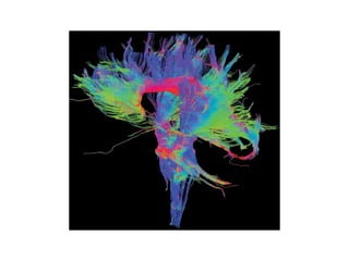 New Frontiers: Optogenetics - I-han Chou | PPT