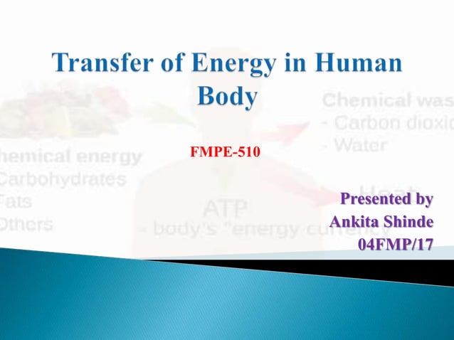 Transfer of energy in human body | PPTX | Endocrine and Metabolic ...