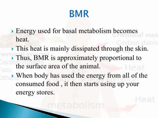 Transfer of energy in human body | PPTX
