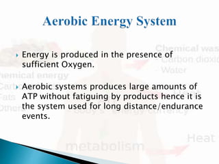 Transfer of energy in human body | PPTX
