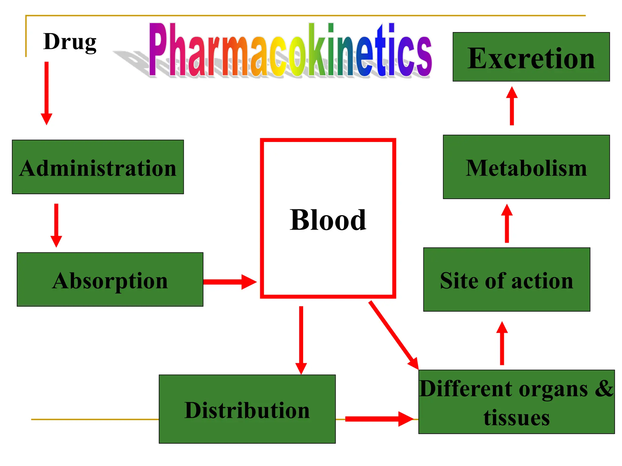 04 GENERAL PHARMACOLOGY (absorption).ppt