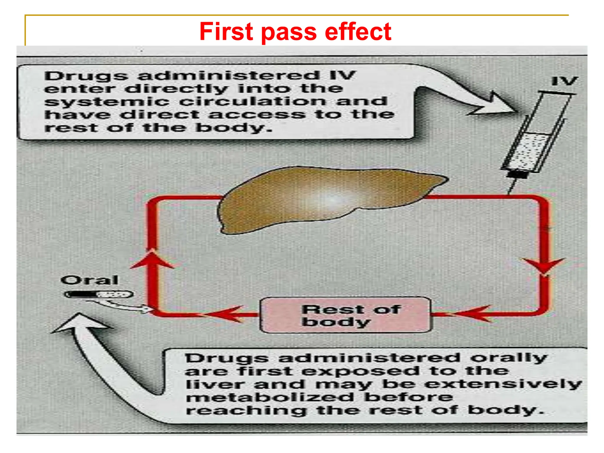04 GENERAL PHARMACOLOGY (absorption).ppt