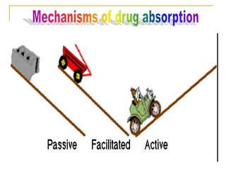 04 GENERAL PHARMACOLOGY (absorption).ppt