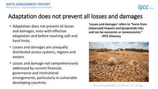 Adaptation finance: needs, enablers and losses and damages | PPT