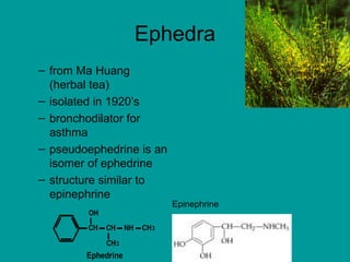 Neuropharmacology: Herbal Drugs | PPT